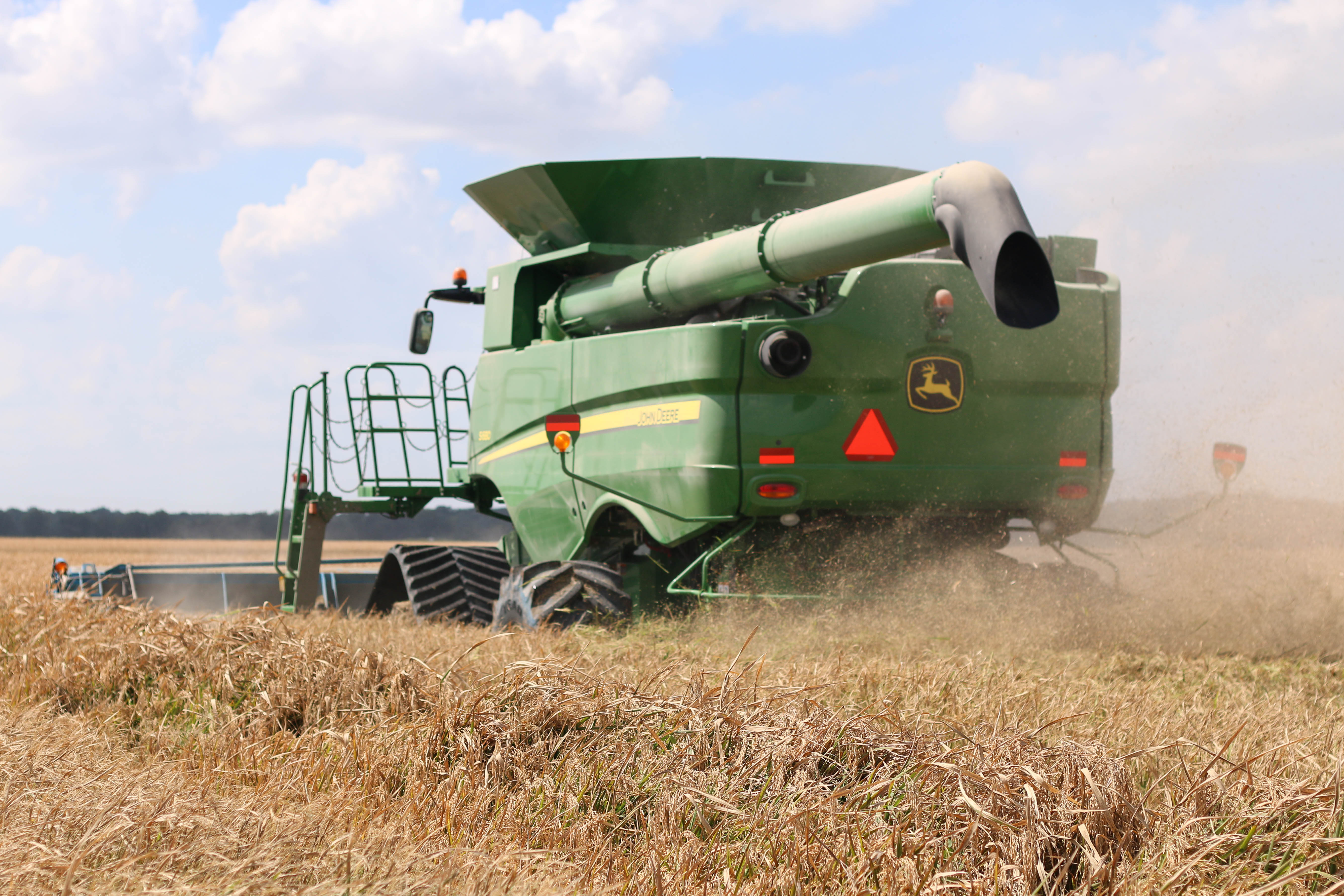 Home - Windmill Rice : Windmill Rice